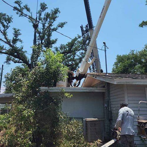 Necaise Tree Service